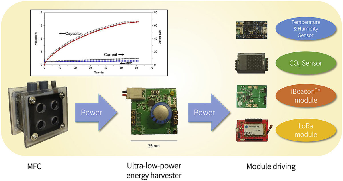Sensor Beacons – Page 6 – BeaconZone Blog
