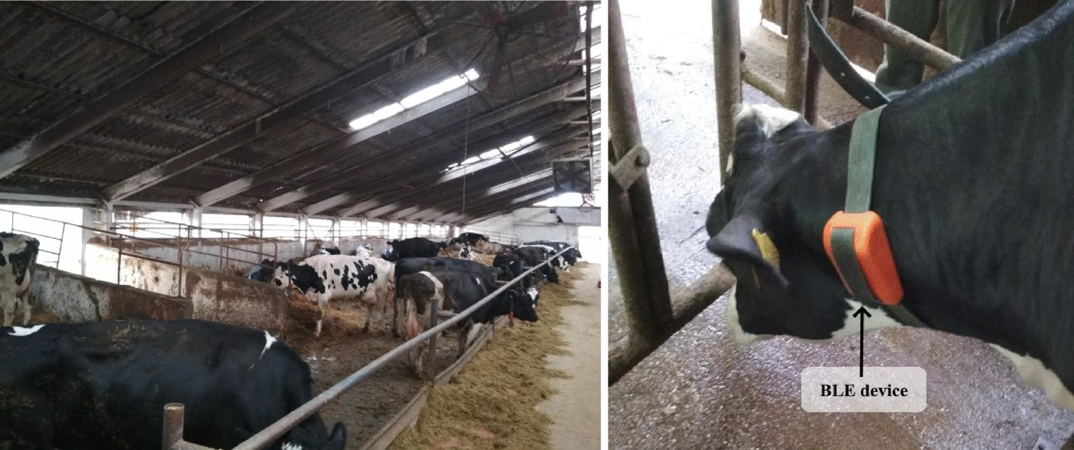 Bluetooth Localisation for Large Industrial Areas with Limited ...